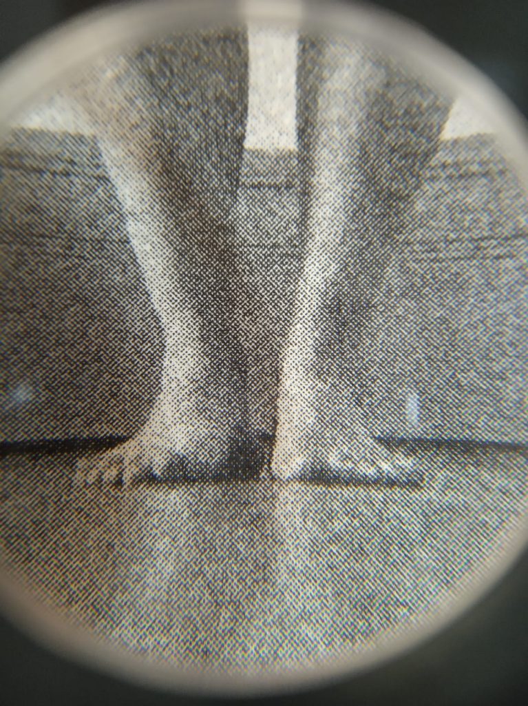 Presentación del libro ‘Cuerpos fuera de sí’ con Victoria Perez-Royo y ...