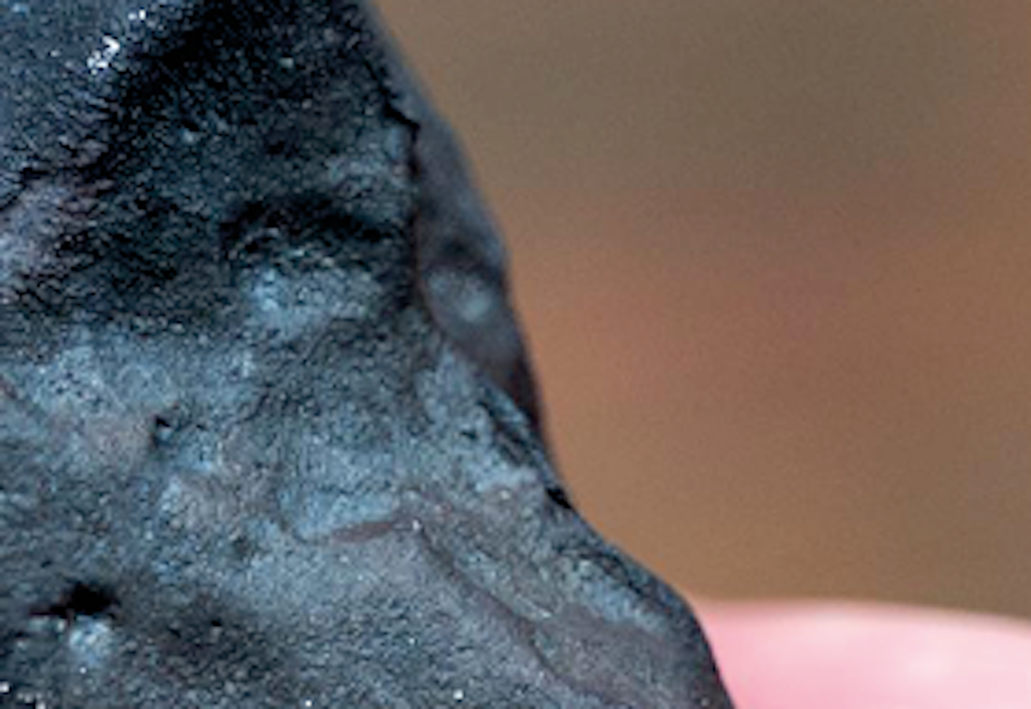 Apertura Neti Neti #2 con Juan Carlos Lérida y Amalia Fernández | La ...