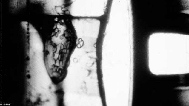 Birgit Hein. Cine crudo en La Casa Encendida | MuroTRON